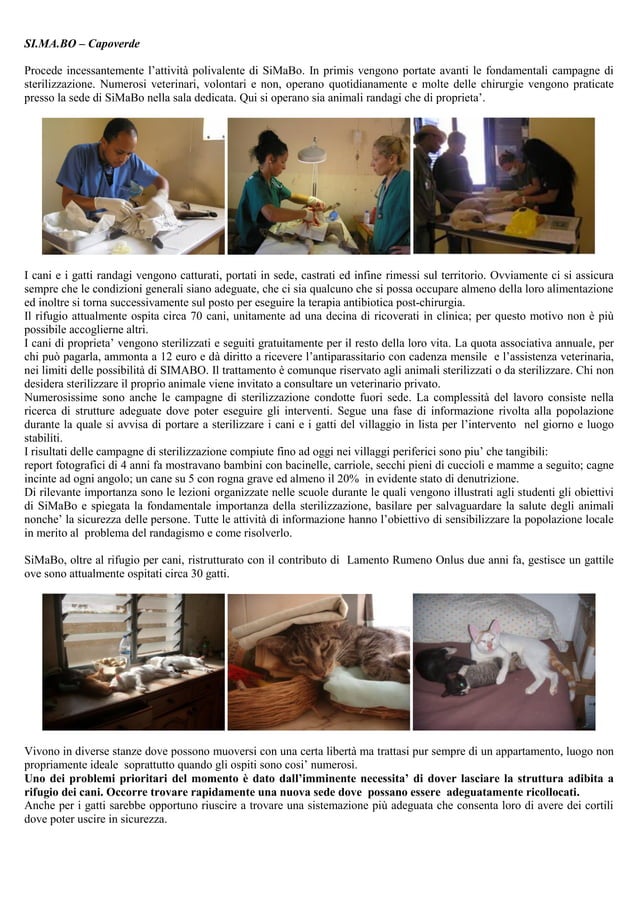 Foreign projects | PDF