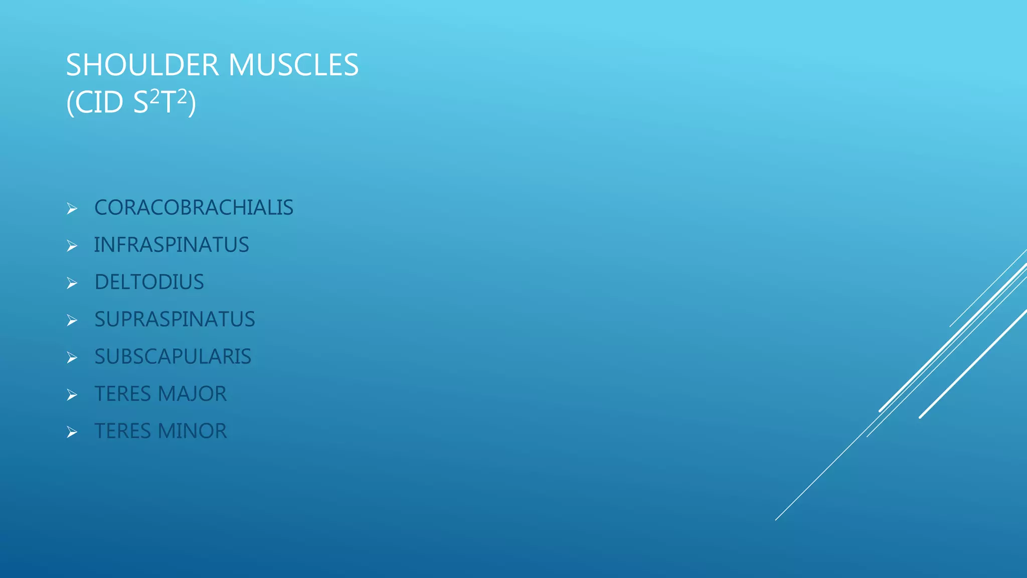 Fore limb muscles .ppt