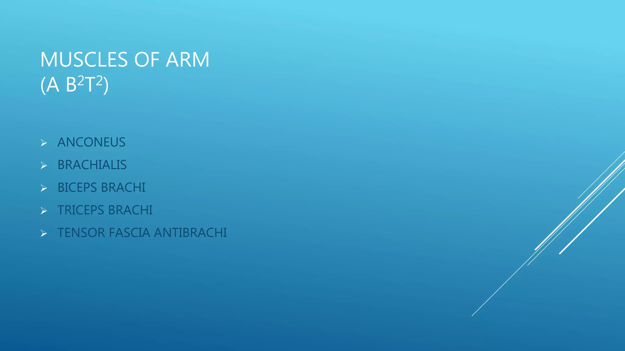 Fore limb muscles .ppt