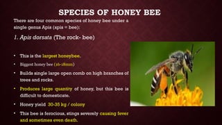 Apiculture Importance and scope. .pptx