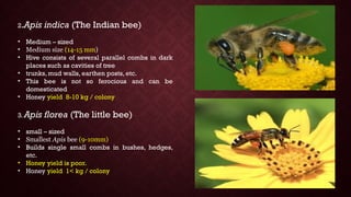 Apiculture Importance and scope. .pptx