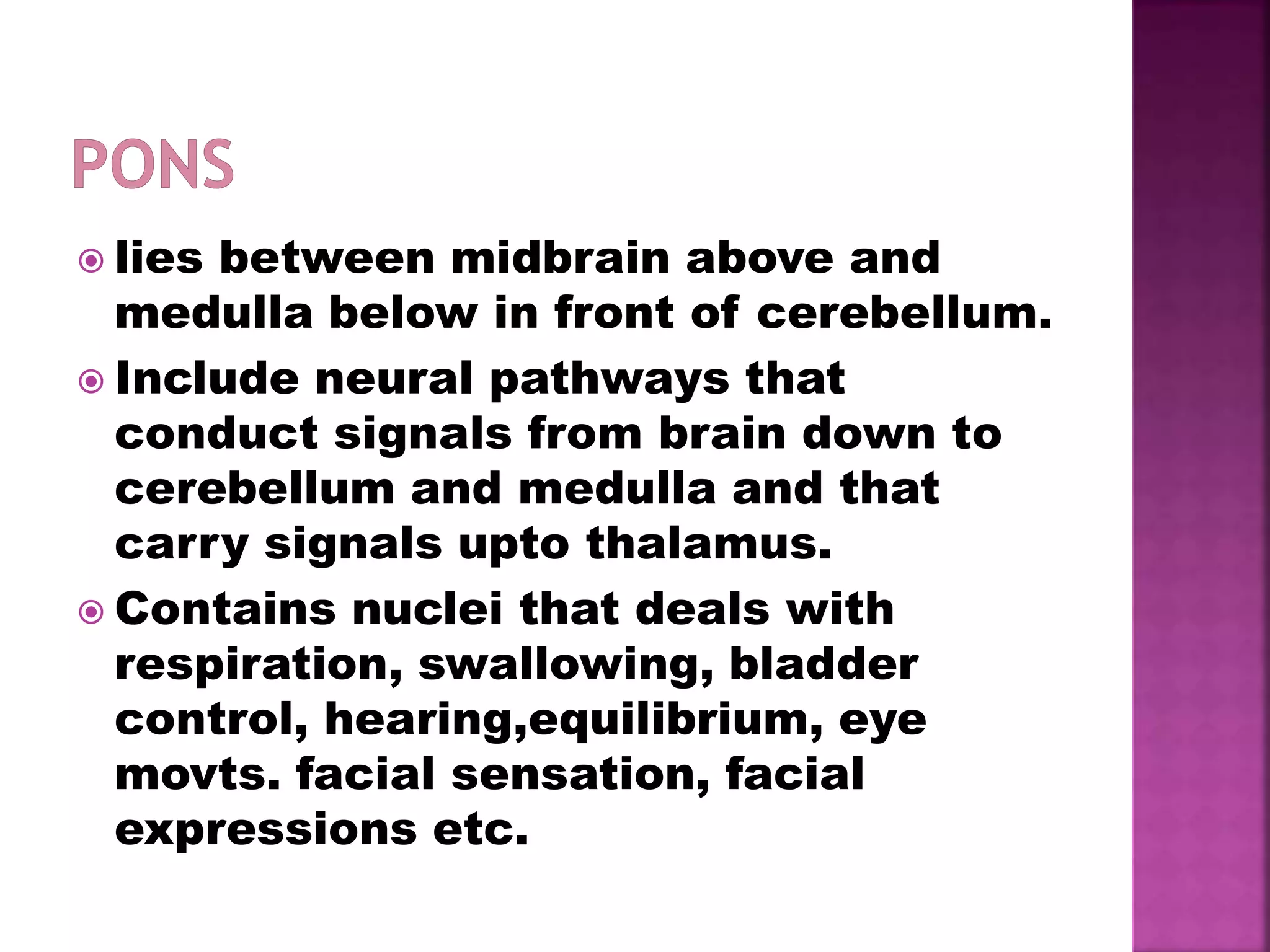 Anatomy and physiology of brain stem | PPTX