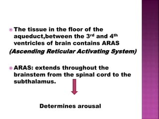 Anatomy and physiology of brain stem | PPTX