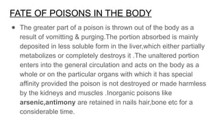 FORENSIC medicine and toxicology seminar | PPTX