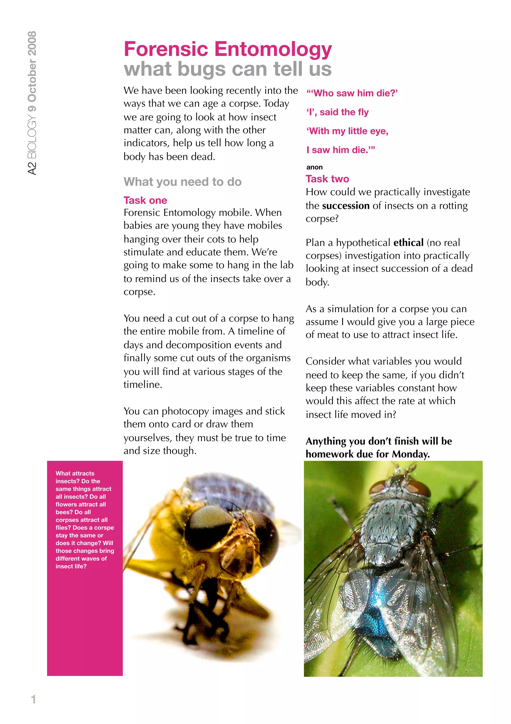 Forensic Entomology One | PDF