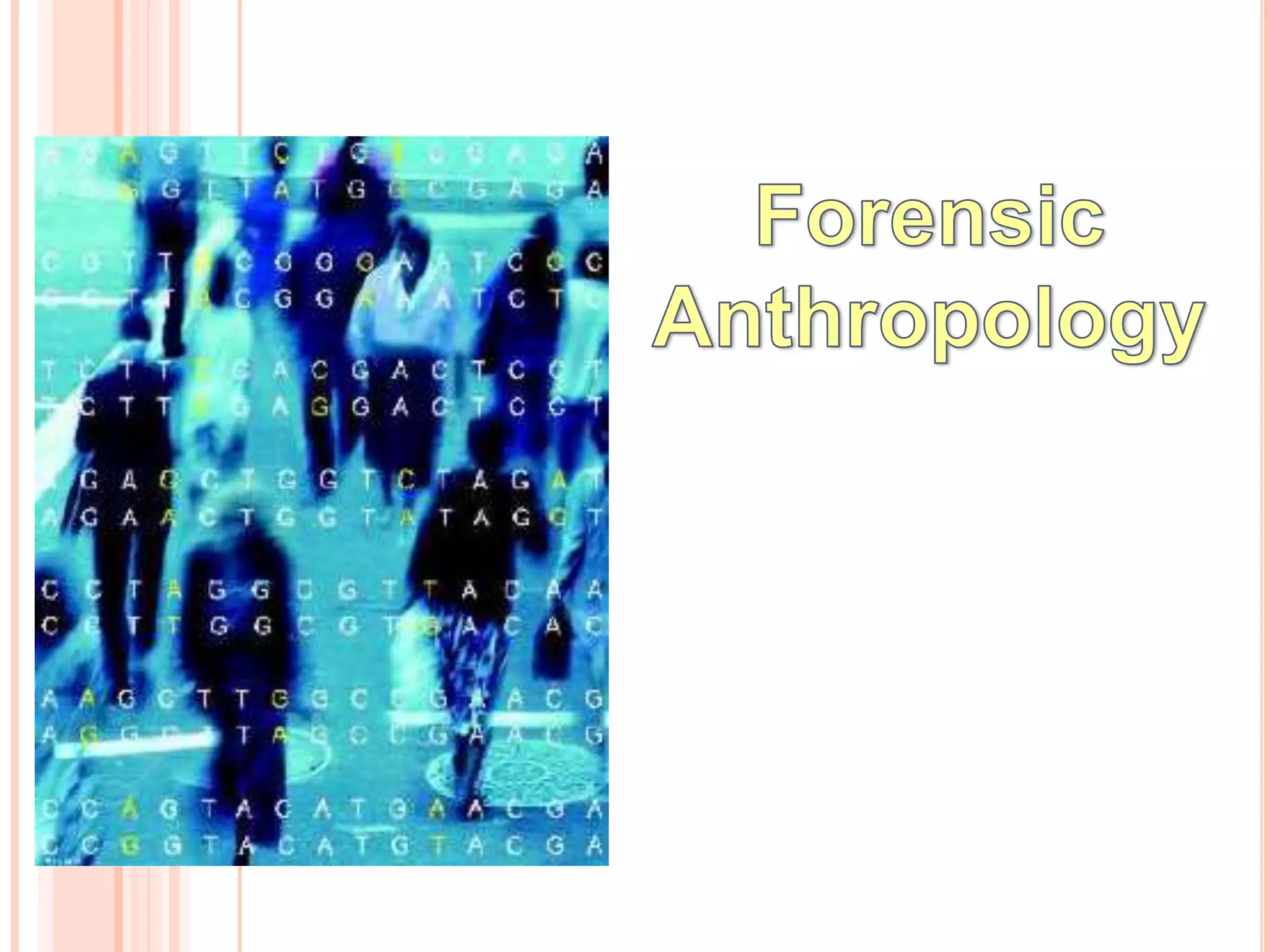 Forensic Anthropology الاستعراف | PPT