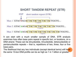 Forensic Anthropology الاستعراف | PPT