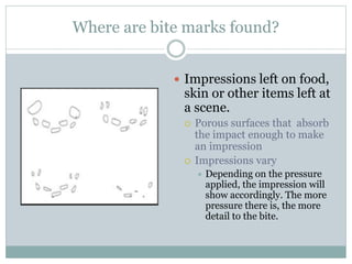forensic-odontology1.ppt