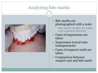 forensic-odontology1.ppt