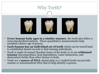 forensic-odontology1.ppt