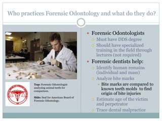 forensic-odontology1.ppt