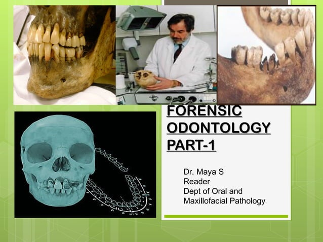 INTRODUCTION TO FORENSIC ODONTOLOGY- PART 1 | PPT