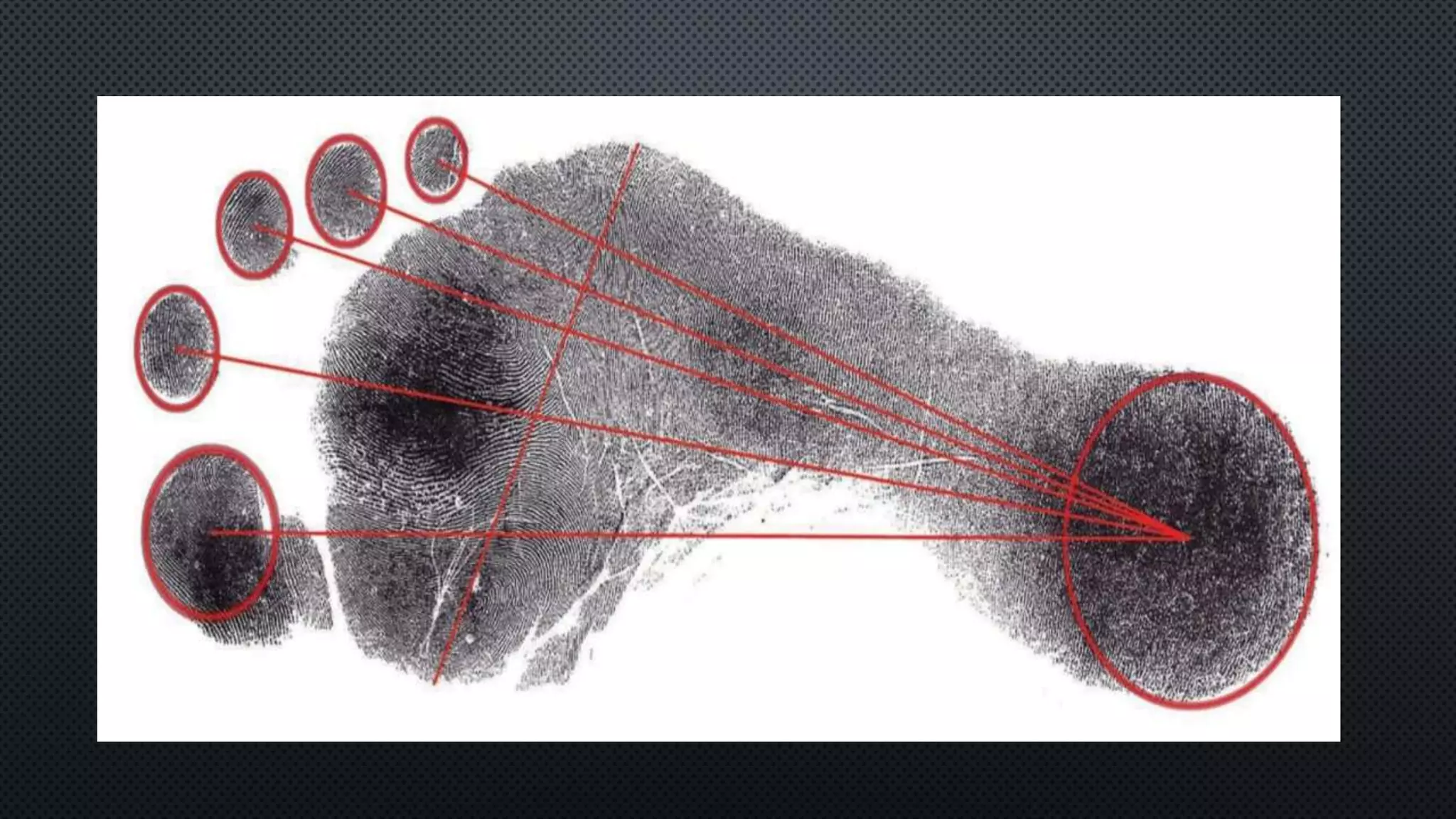 Forensic Analysis of Bare Footprint .pptx