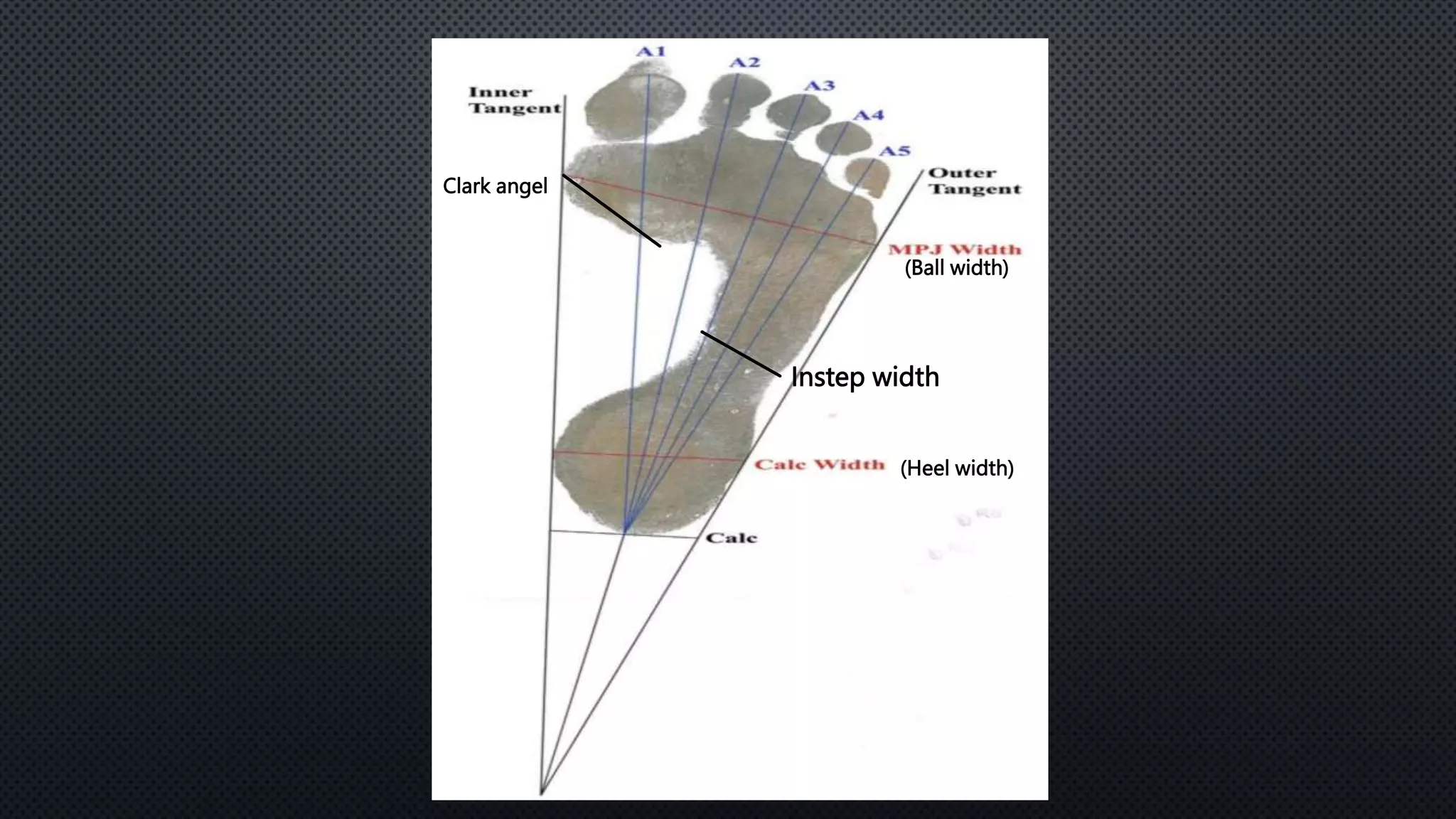 Forensic Analysis of Bare Footprint .pptx