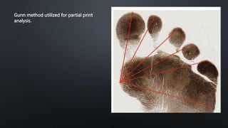 Forensic Analysis of Bare Footprint .pptx