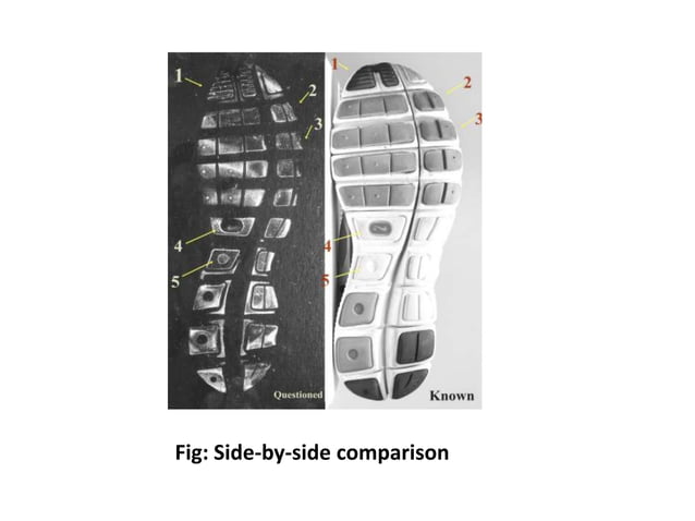 Forensic analysis of foot wear impression | PPTX