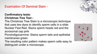 Forensic analysis of semen(sperm). pptx. | PPTX