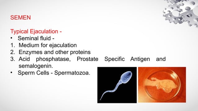 Forensic analysis of semen(sperm). pptx. | PPTX