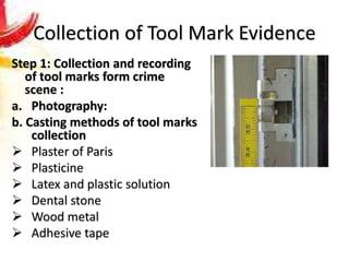 Forensic analysis of tool marks | PPTX