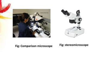 Forensic analysis of tool marks | PPTX