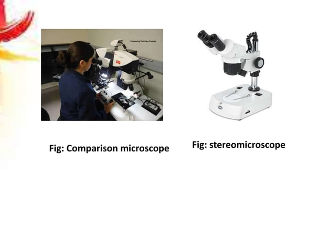 Forensic analysis of tool marks | PPTX | Woodworking | Arts and Crafts