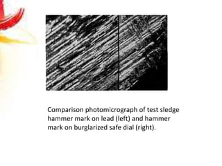 Forensic analysis of tool marks | PPTX