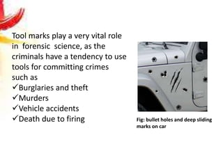 Forensic analysis of tool marks | PPTX