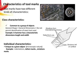 Forensic analysis of tool marks | PPTX
