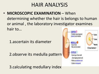 Forensic analytical chemistry | PPTX