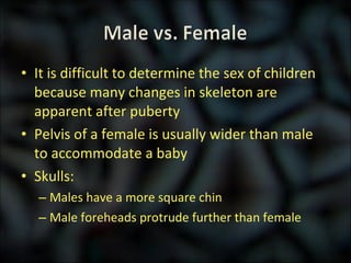 Forensic anthropology | PPT