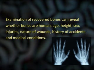 Forensic anthropology | PPT