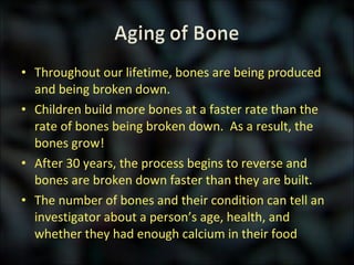 Forensic anthropology | PPT