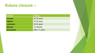 Forensic Anthropology* Sutures of the Skull | PPTX | Dental Health ...