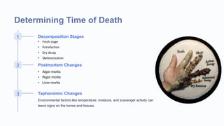 Forensic Anthropology: Unlocking the Mysteries of Criminal ...