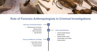Forensic Anthropology: Unlocking the Mysteries of Criminal ...