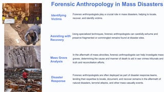Forensic Anthropology: Unlocking the Mysteries of Criminal ...