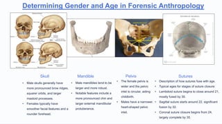 Forensic Anthropology: Unlocking the Mysteries of Criminal ...