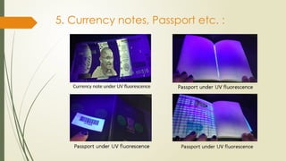 Forensic Application of Fluorescence Microscopy.pptx