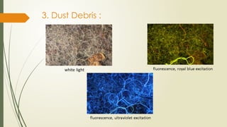Forensic Application of Fluorescence Microscopy.pptx