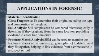 Forensic Applications of Scanning Electron Microscope (1).pptx