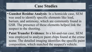Forensic Applications of Scanning Electron Microscope (1).pptx