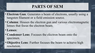 Forensic Applications of Scanning Electron Microscope (1).pptx