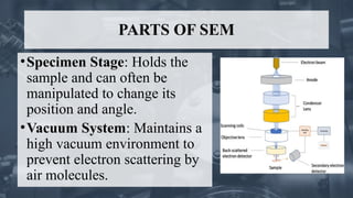 Forensic Applications of Scanning Electron Microscope (1).pptx