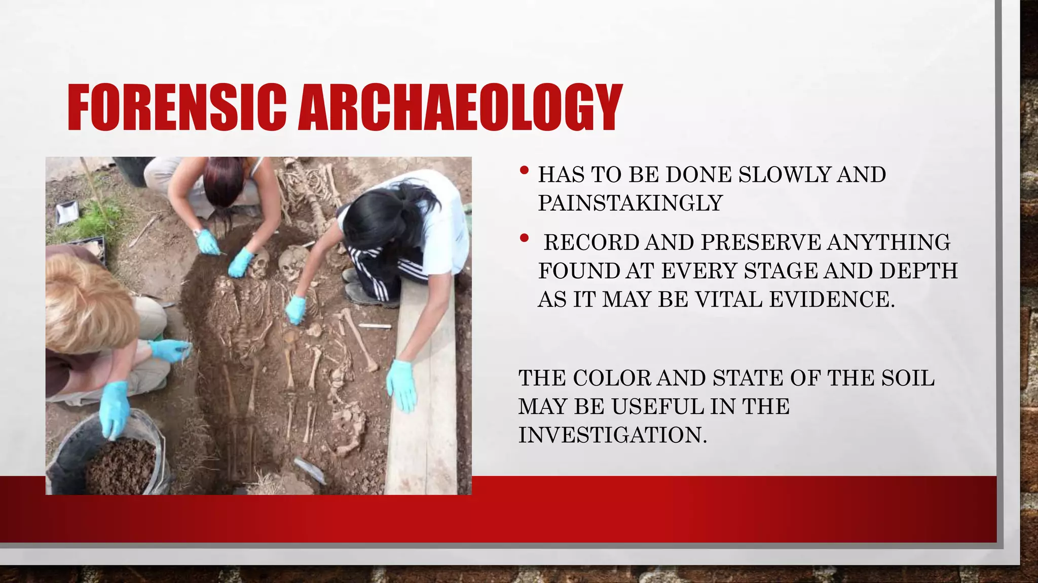 Forensic archaeology | PPTX