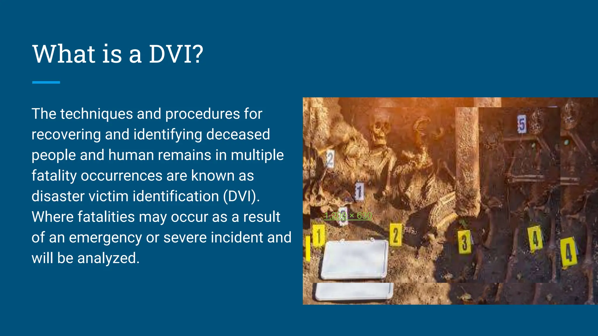Forensic Archaeology – Mass Disasters.pptx