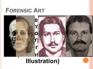Forensic art | PPT