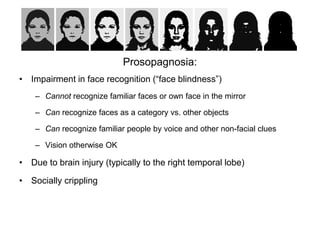 forensic_artist_and_facerecognition.ppt