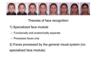 forensic_artist_and_facerecognition.ppt