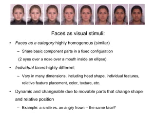 forensic_artist_and_facerecognition.ppt