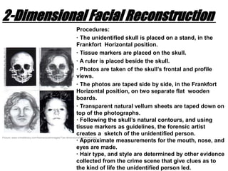 forensic_artist_and_face_recognition.ppt